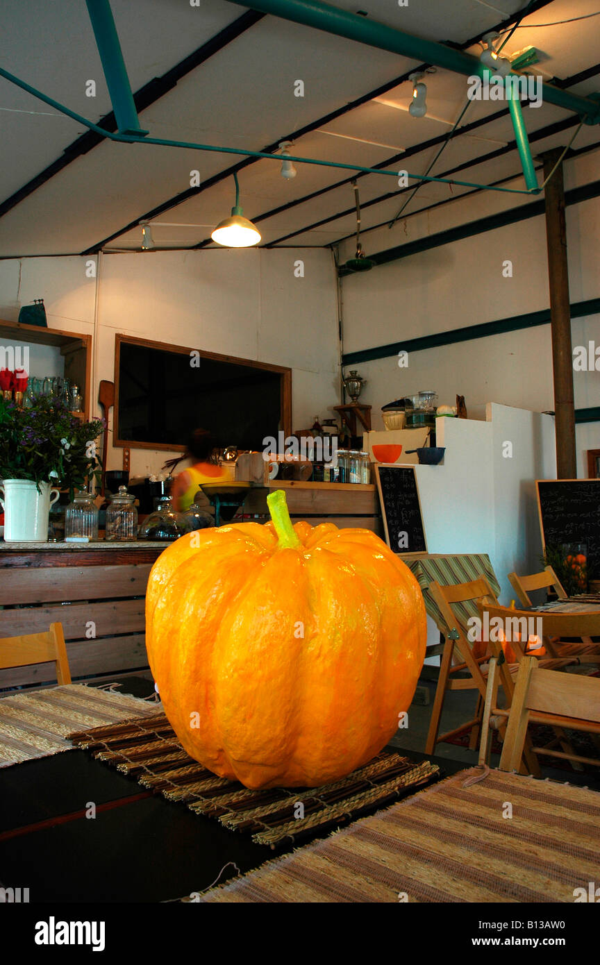 Interior of a small Cafe restaurant large pumpkin on display Stock ...