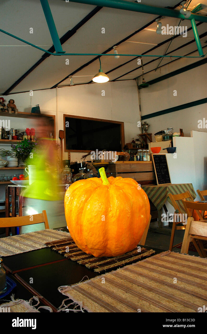 Interior of a small Cafe restaurant large pumpkin on display motion ...