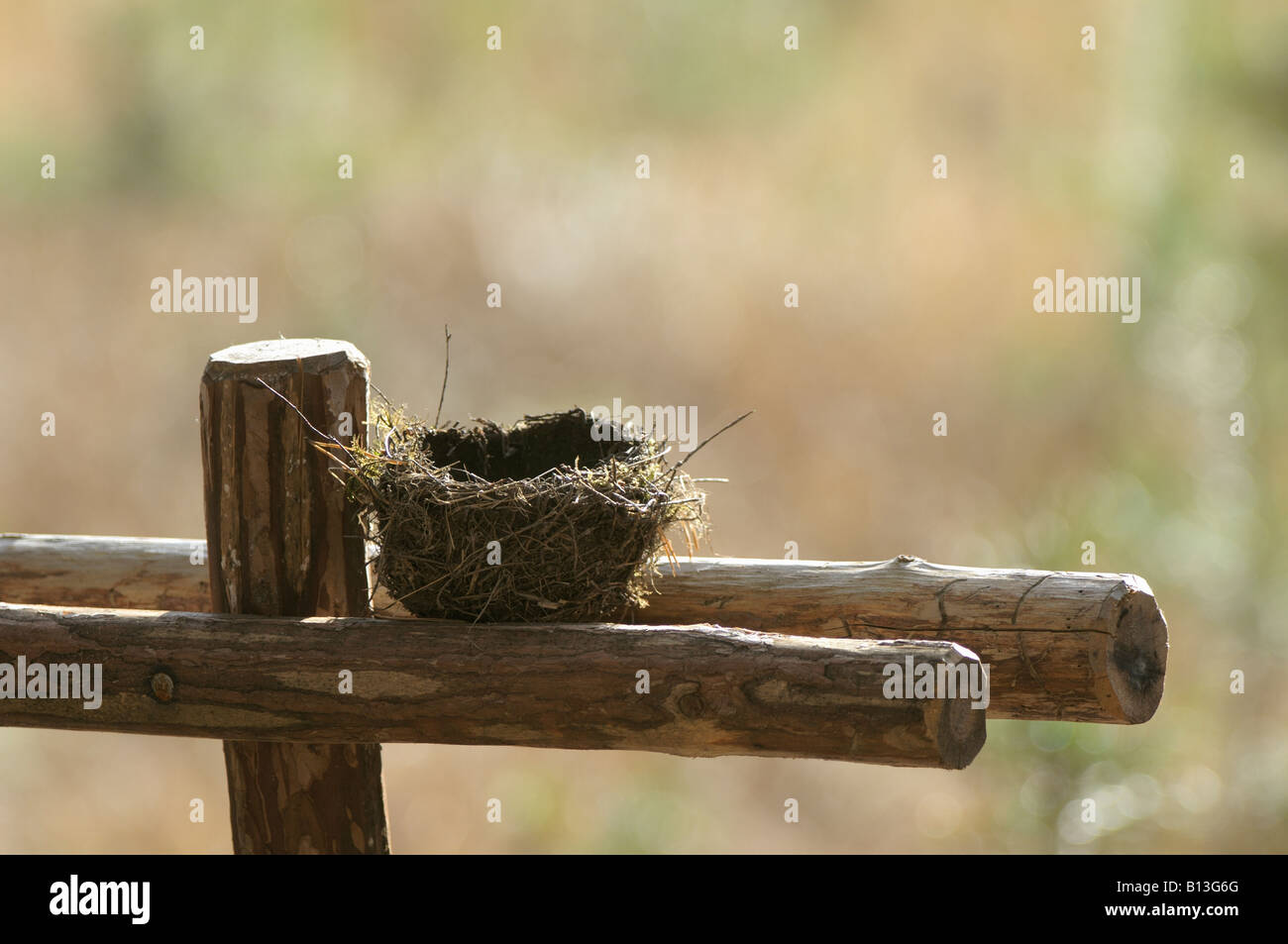Brood bar hi-res stock photography and images - Alamy