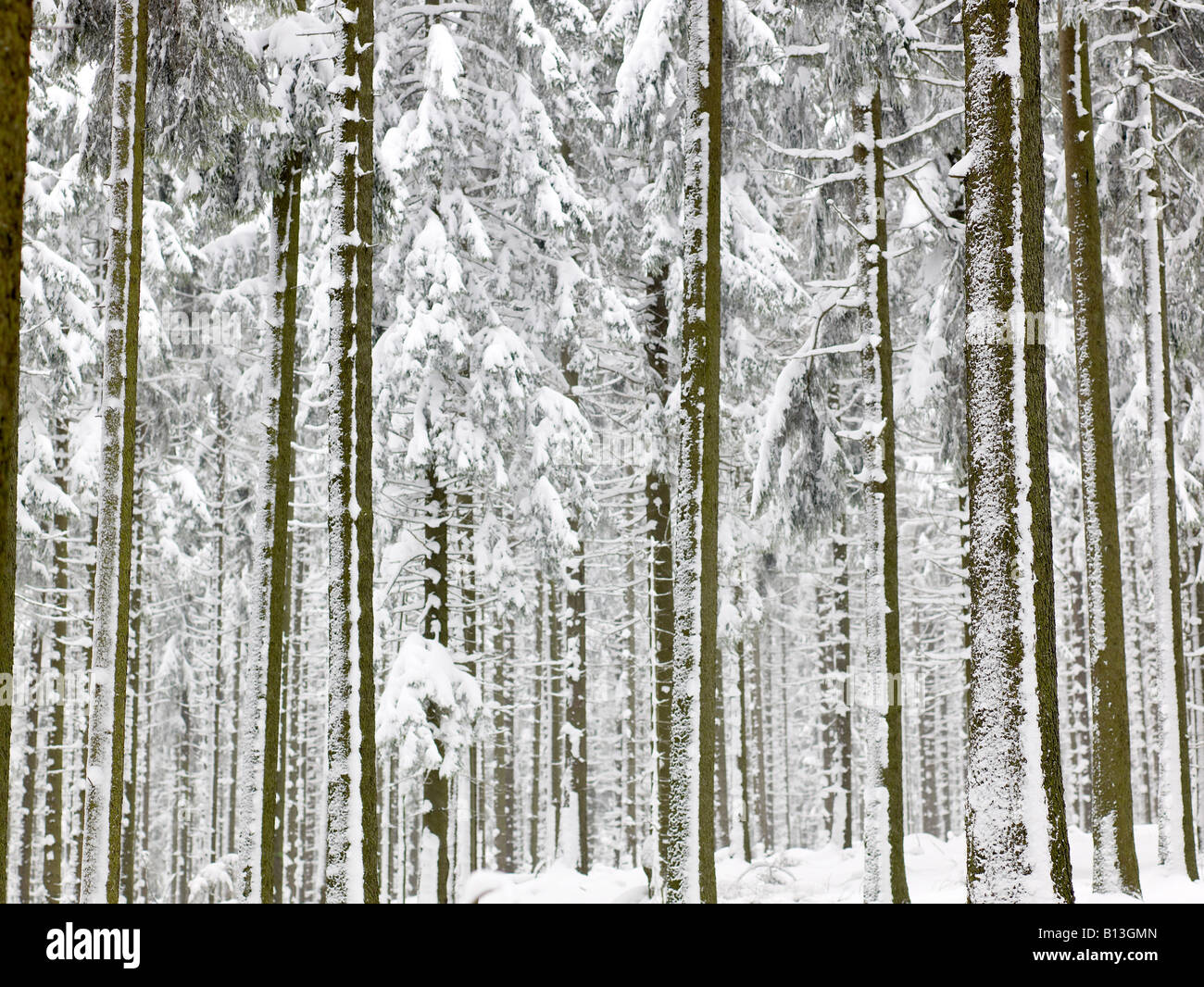 Grafical hi-res stock photography and images - Alamy