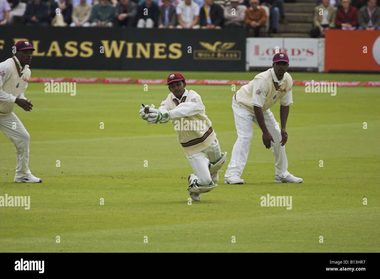 Wicketkeeper diving catch Stock Photo - Alamy