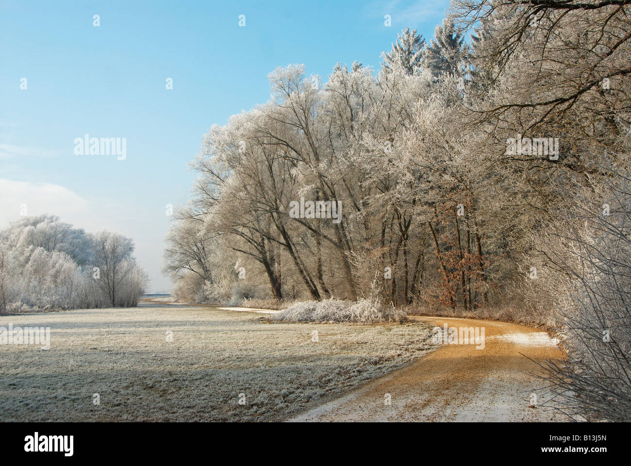 Winterly landscape with hoar frost in the morning sun Stock Photo - Alamy