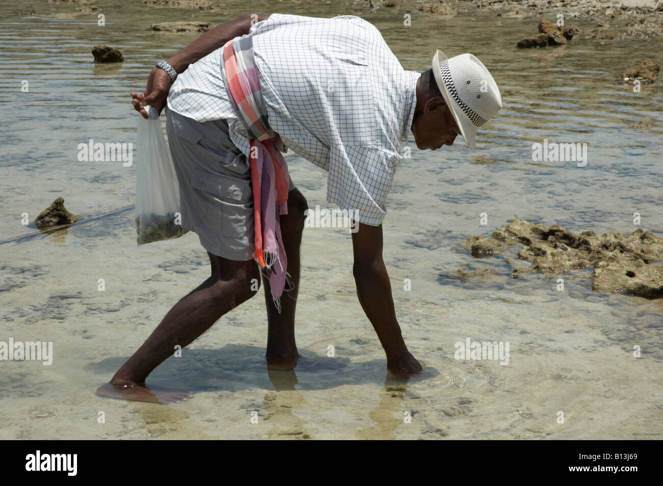 Man collecting shellfish, Koh Samui, Thailand Stock Photo - Alamy