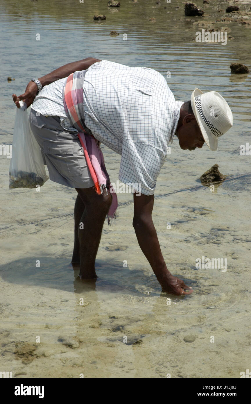 Man collecting shellfish, Koh Samui, Thailand Stock Photo - Alamy
