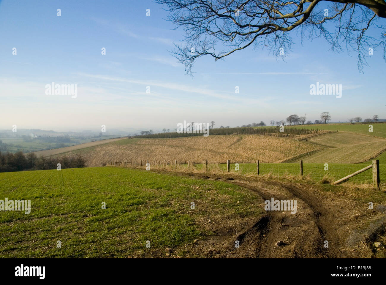 Yorkshire Wolds early spring Stock Photo - Alamy
