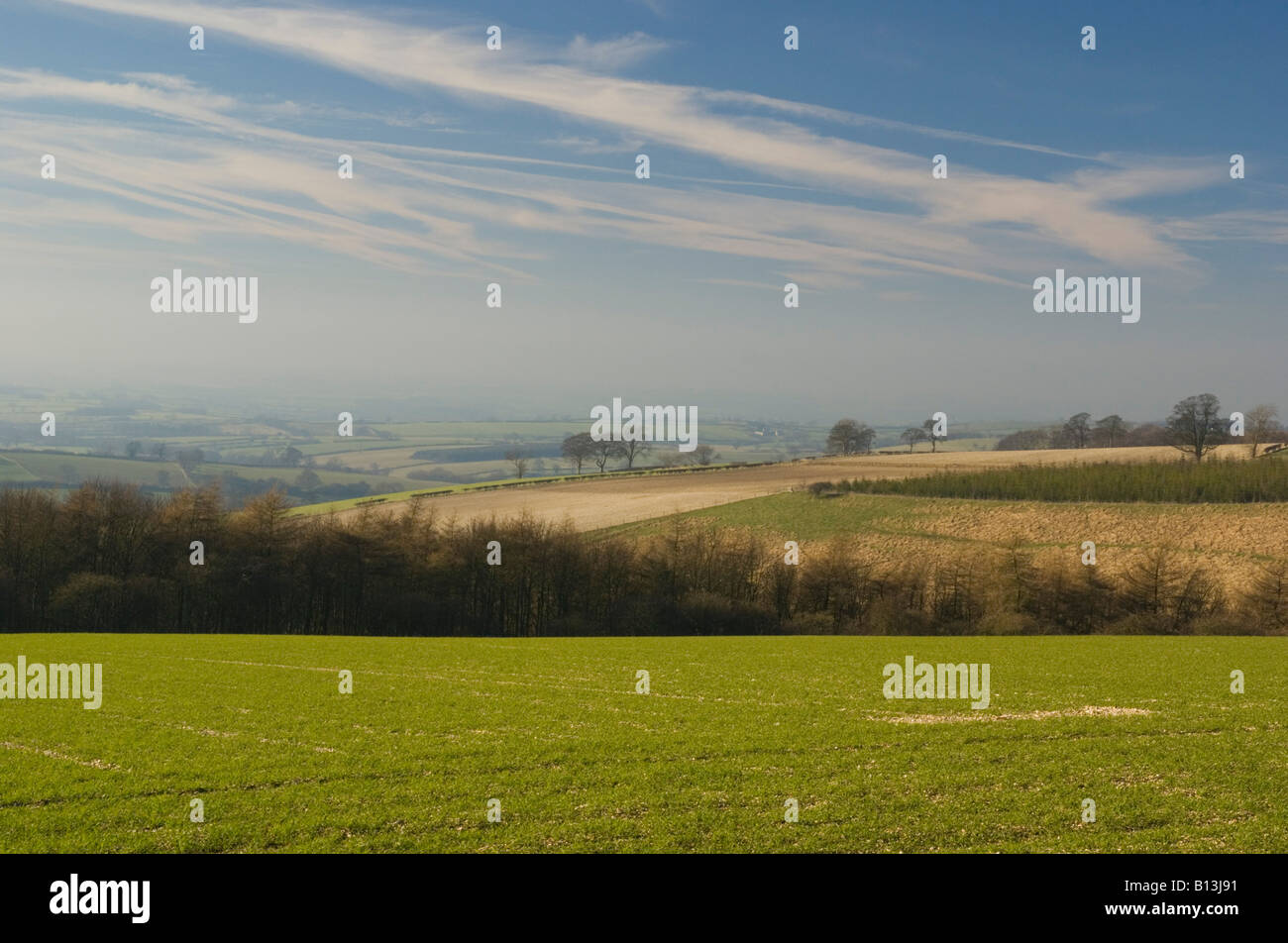 Yorkshire Wolds early spring Stock Photo - Alamy