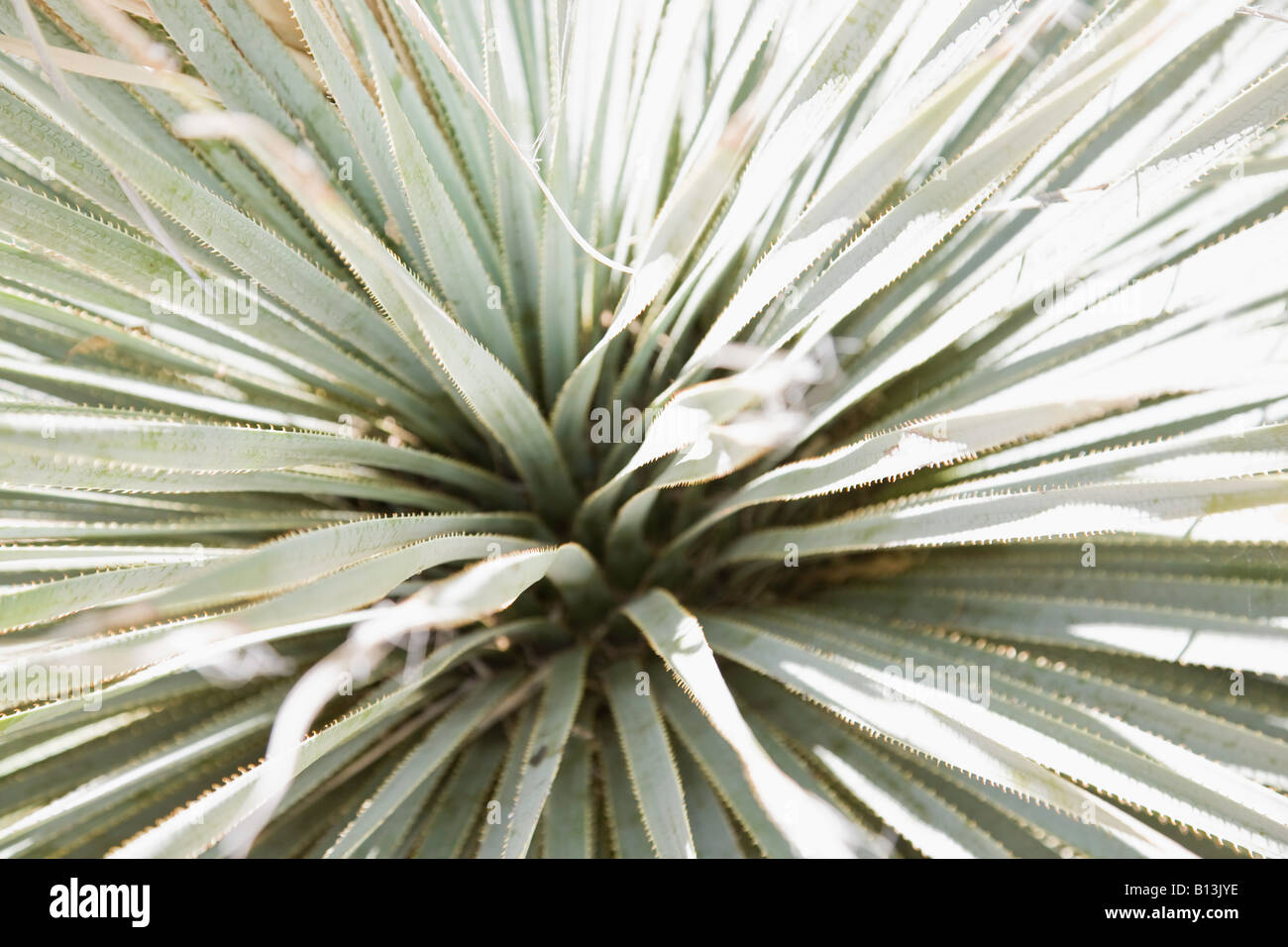 Drenched hi-res stock photography and images - Alamy