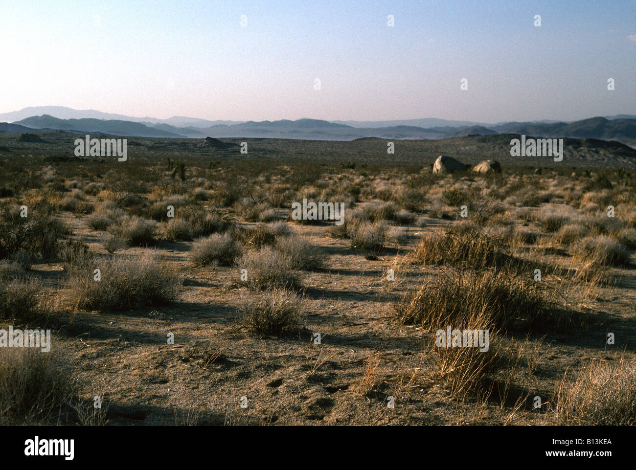 Desert landscape California Stock Photo - Alamy