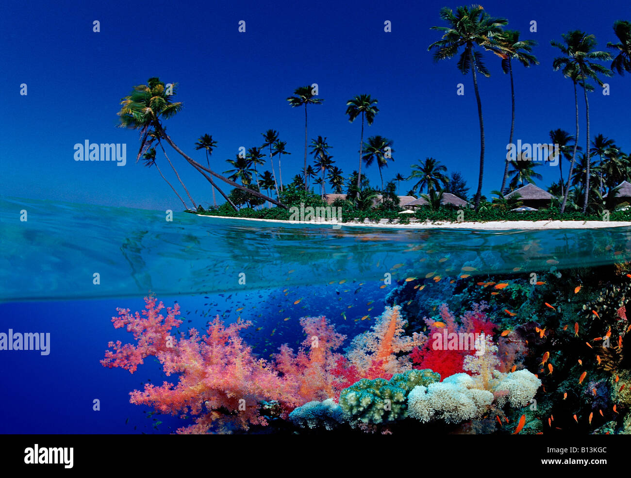 Digital composition hi-res stock photography and images - Alamy