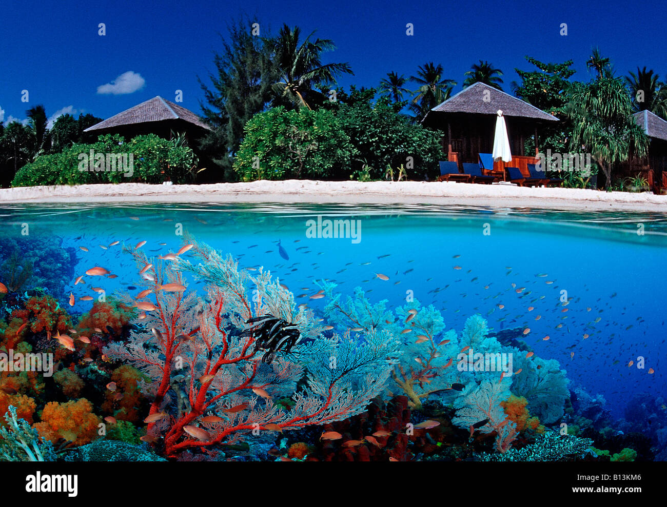 Coral Reef and Island Digital Composition Stock Photo - Alamy
