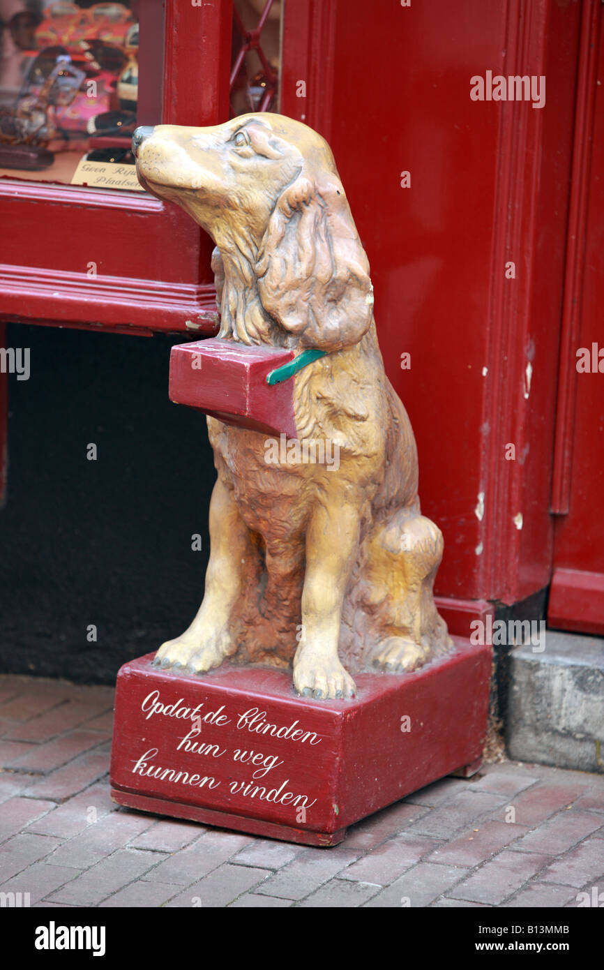 Guide dog for the blind charity box Stock Photo - Alamy