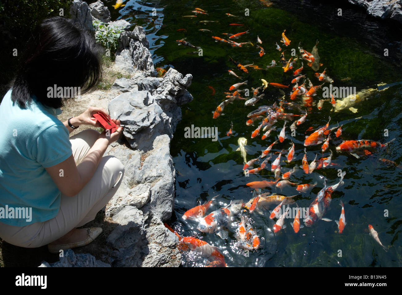 Woman feeding koi hi-res stock photography and images - Alamy