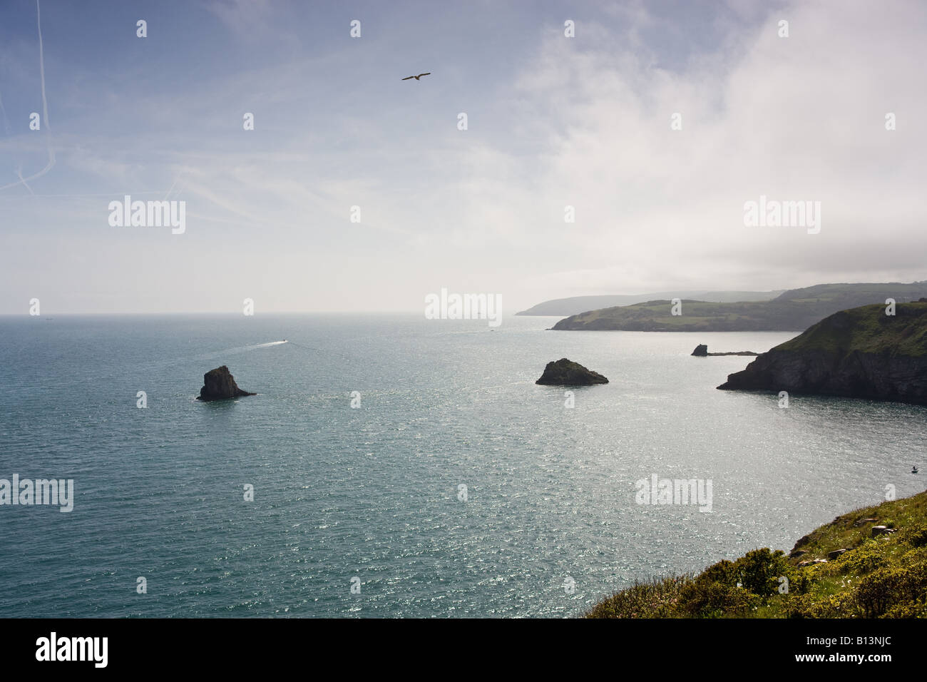 A view from Berry Head "National Trust" Devon, UK Stock Photo - Alamy