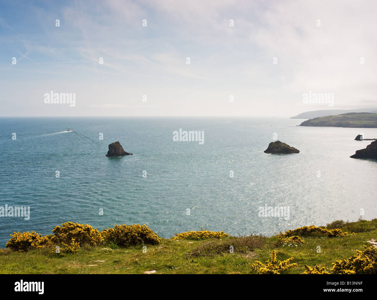 A view from Berry Head "National Park" Devon, UK Stock Photo - Alamy