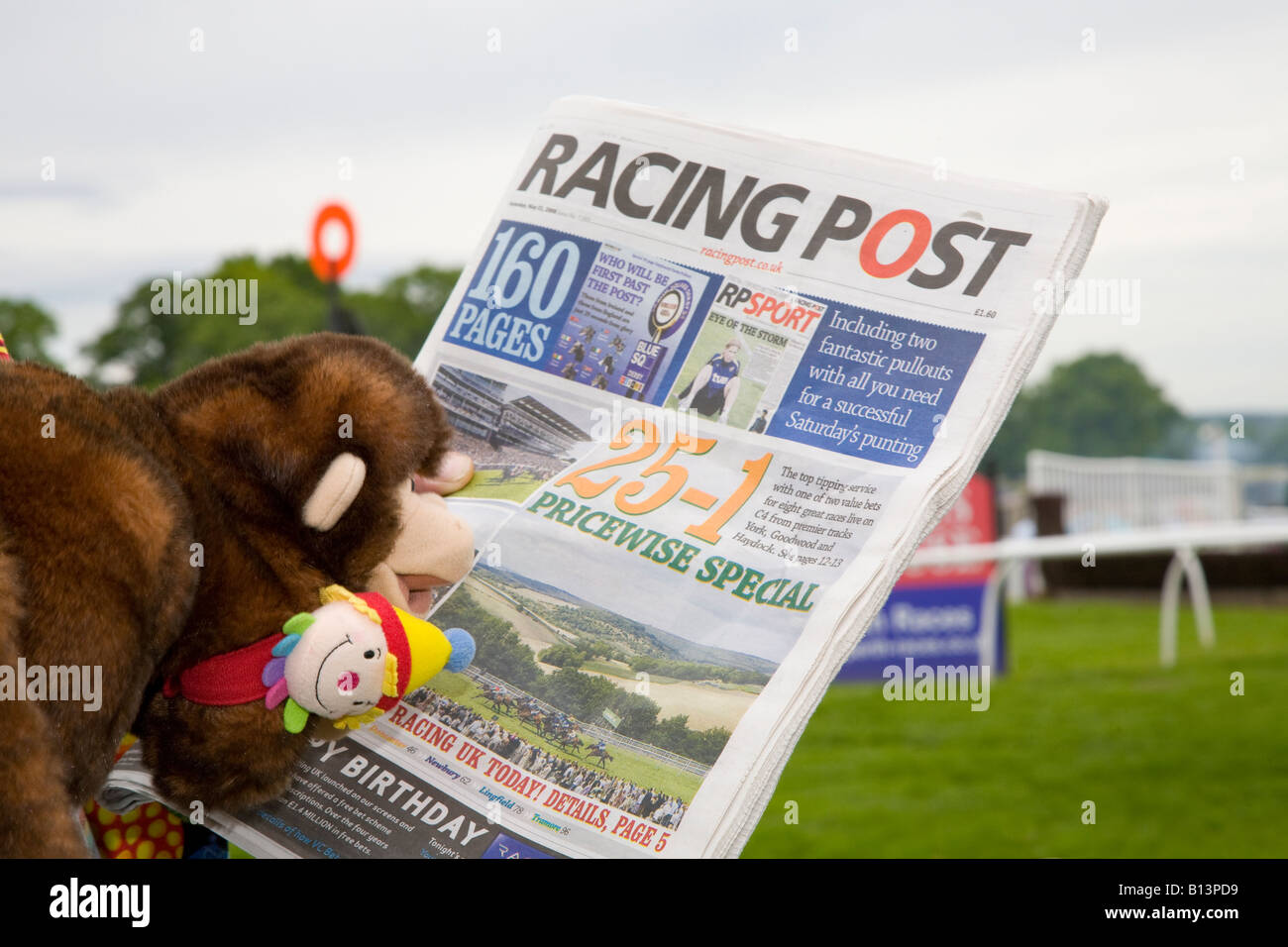 Hand Puppet reading Racing Post, at Perth Racecourse, Gold Cup Day ...