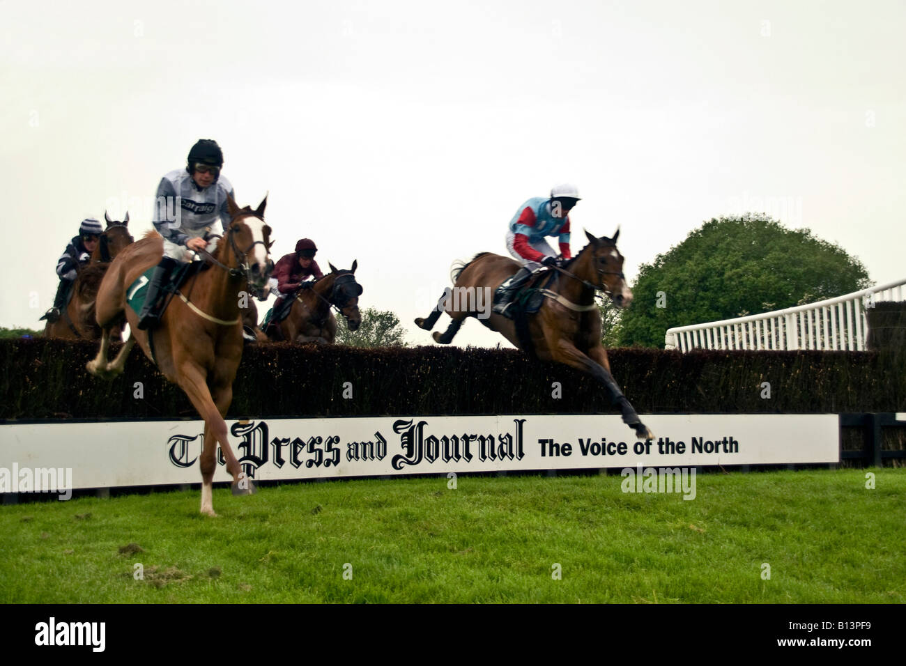 Perth racecourse scotland hi-res stock photography and images - Alamy