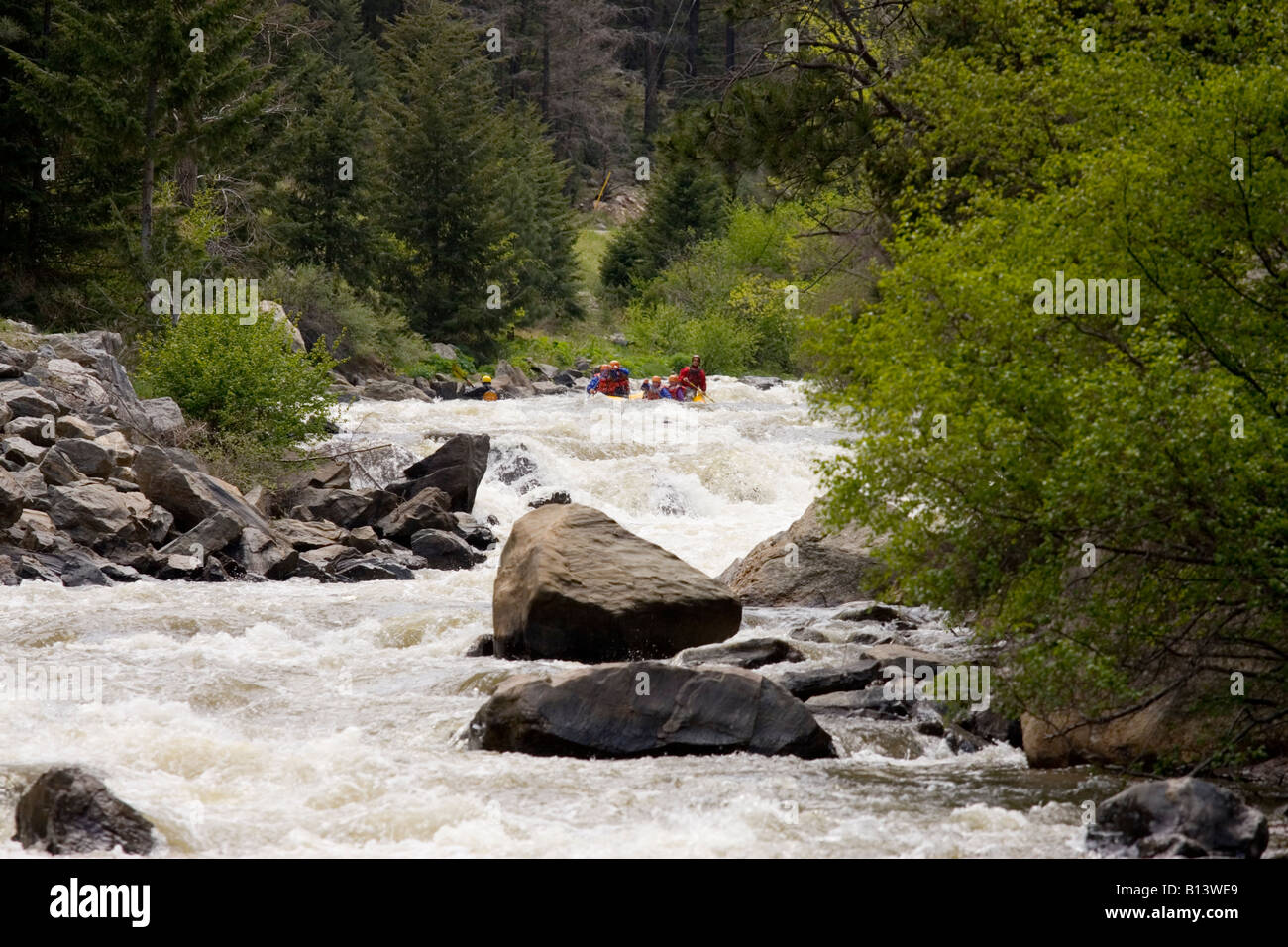 Whitewater rafting colorado river hi-res stock photography and images ...