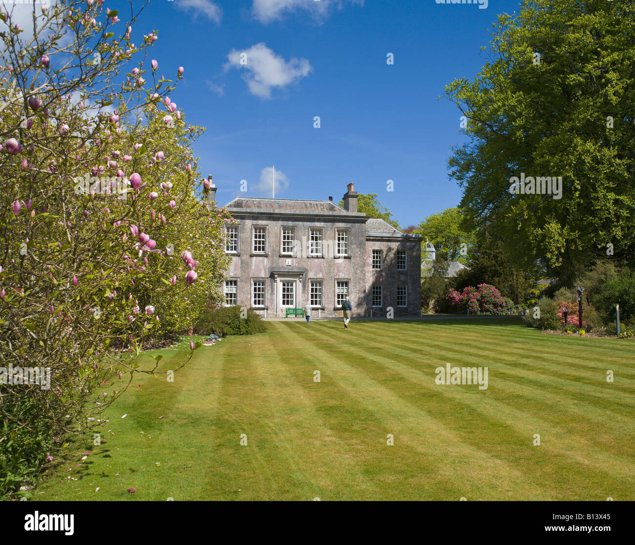 Trewithen House and Garden, Truro, Cornwall, England Stock Photo - Alamy