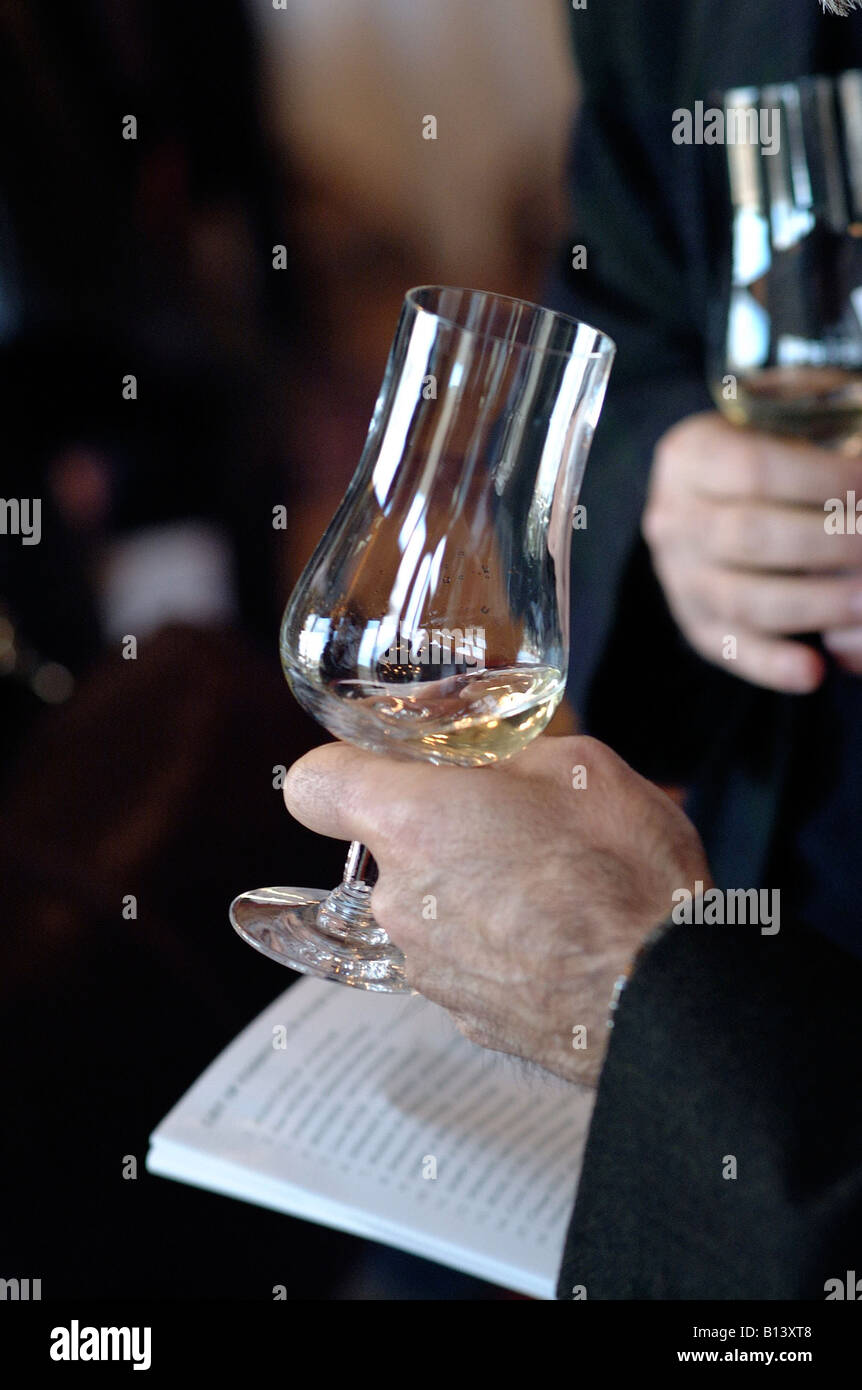 Winetasting, Wineglass, Drinking, Tasting, Sensory Perception, Wine ...