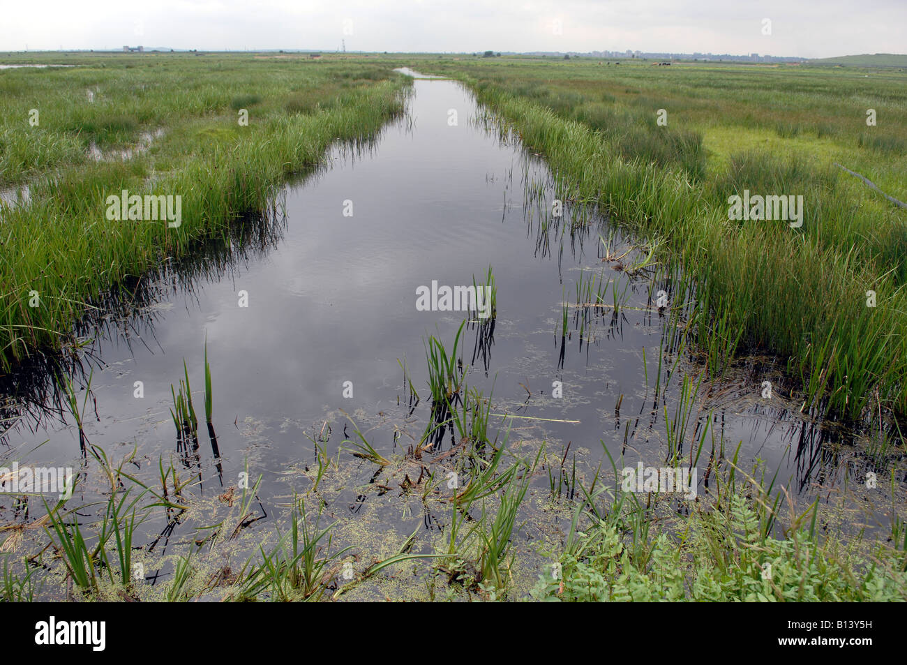Rainham Marshes RSPB nature reserve on the outskirts of London UK Stock ...