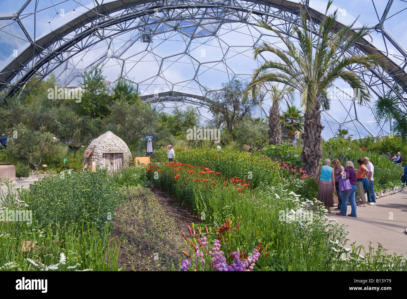 Mediterranean Biome, Eden Project, Cornwall, England Stock Photo - Alamy