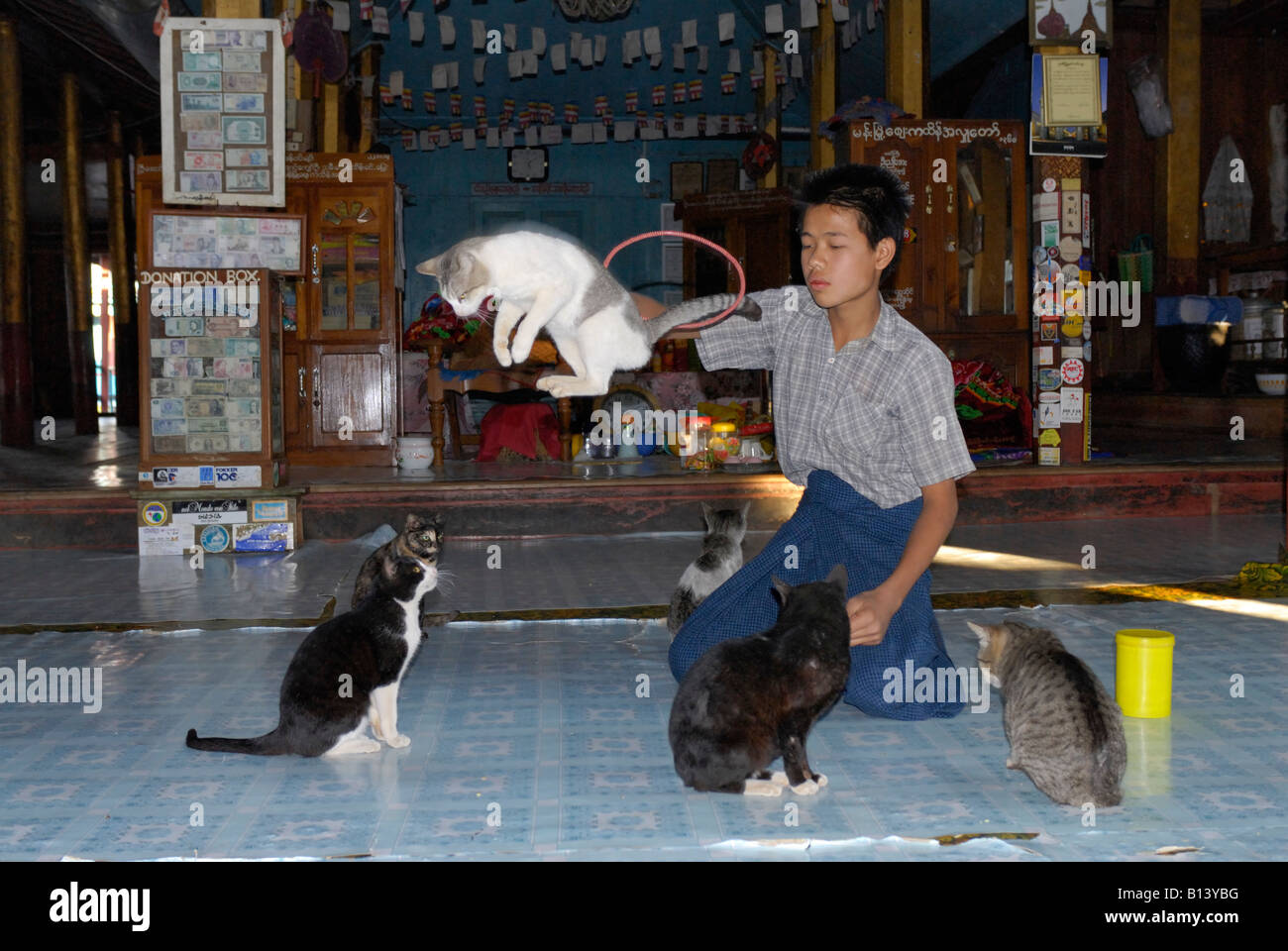 Nga Phe Kyaung Monastery of jumping cats, Inle lake, MYANMAR BURMA ...