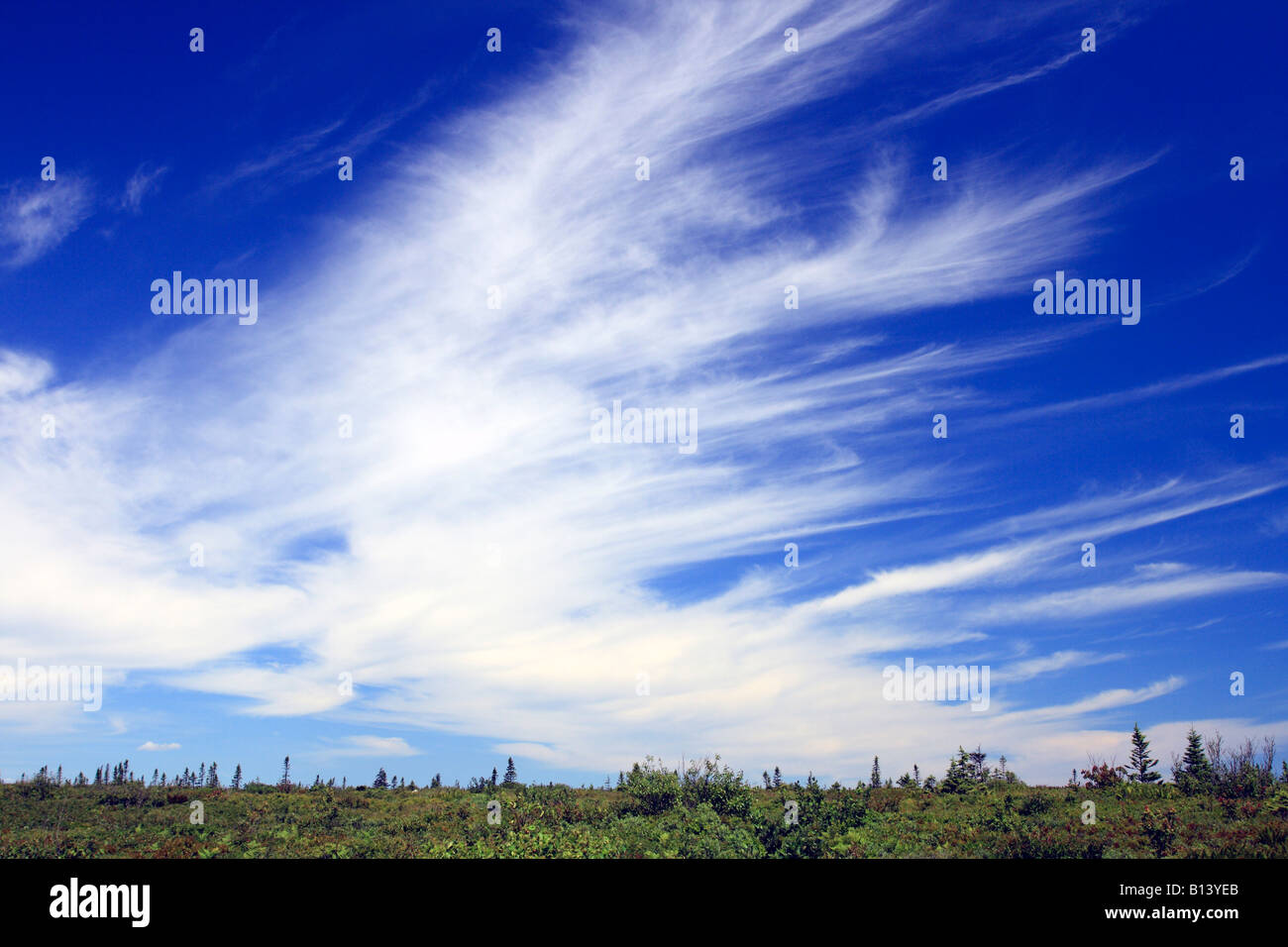 Cirrus hi-res stock photography and images - Alamy