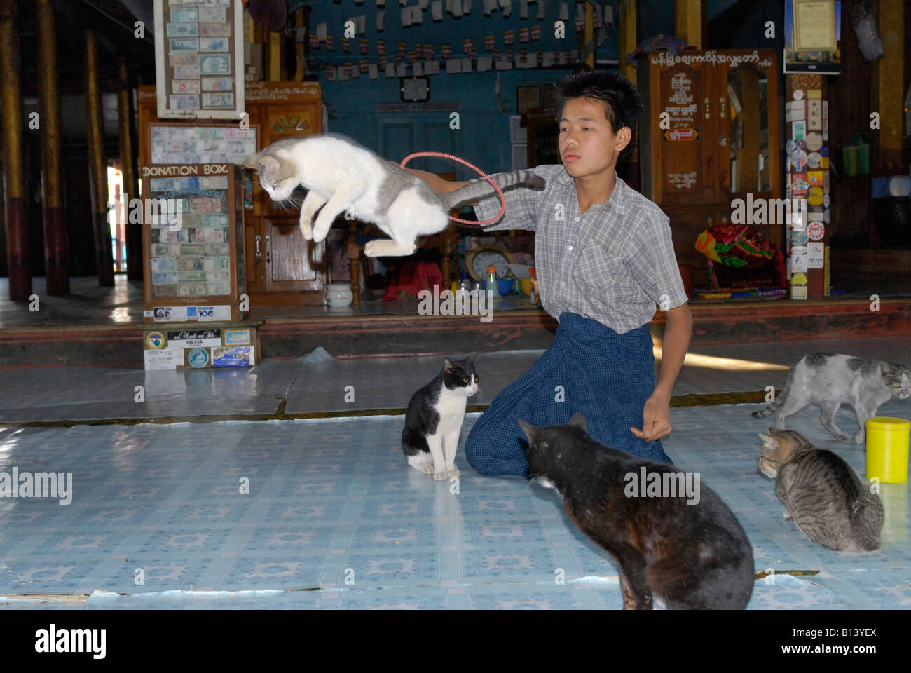 Nga Phe Kyaung Monastery of jumping cats, Inle lake, MYANMAR BURMA ...