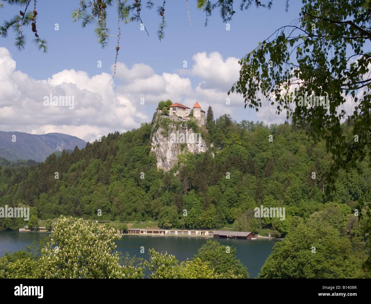 Lake bled slovenia forest hi-res stock photography and images - Alamy