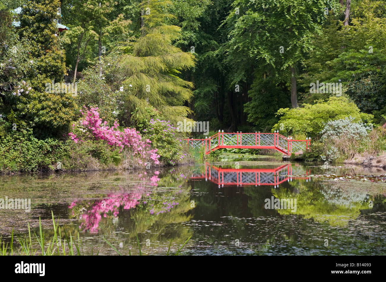 Temple Ponds, Portmeirion, Wales Stock Photo - Alamy