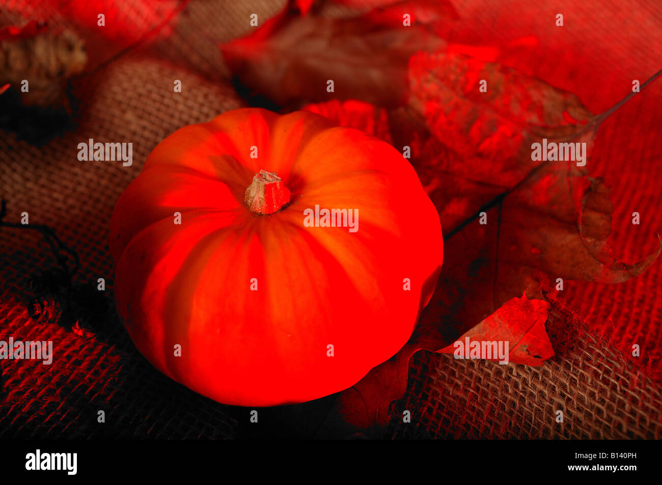 Red Pumpkin High Resolution Stock Photography and Images - Alamy