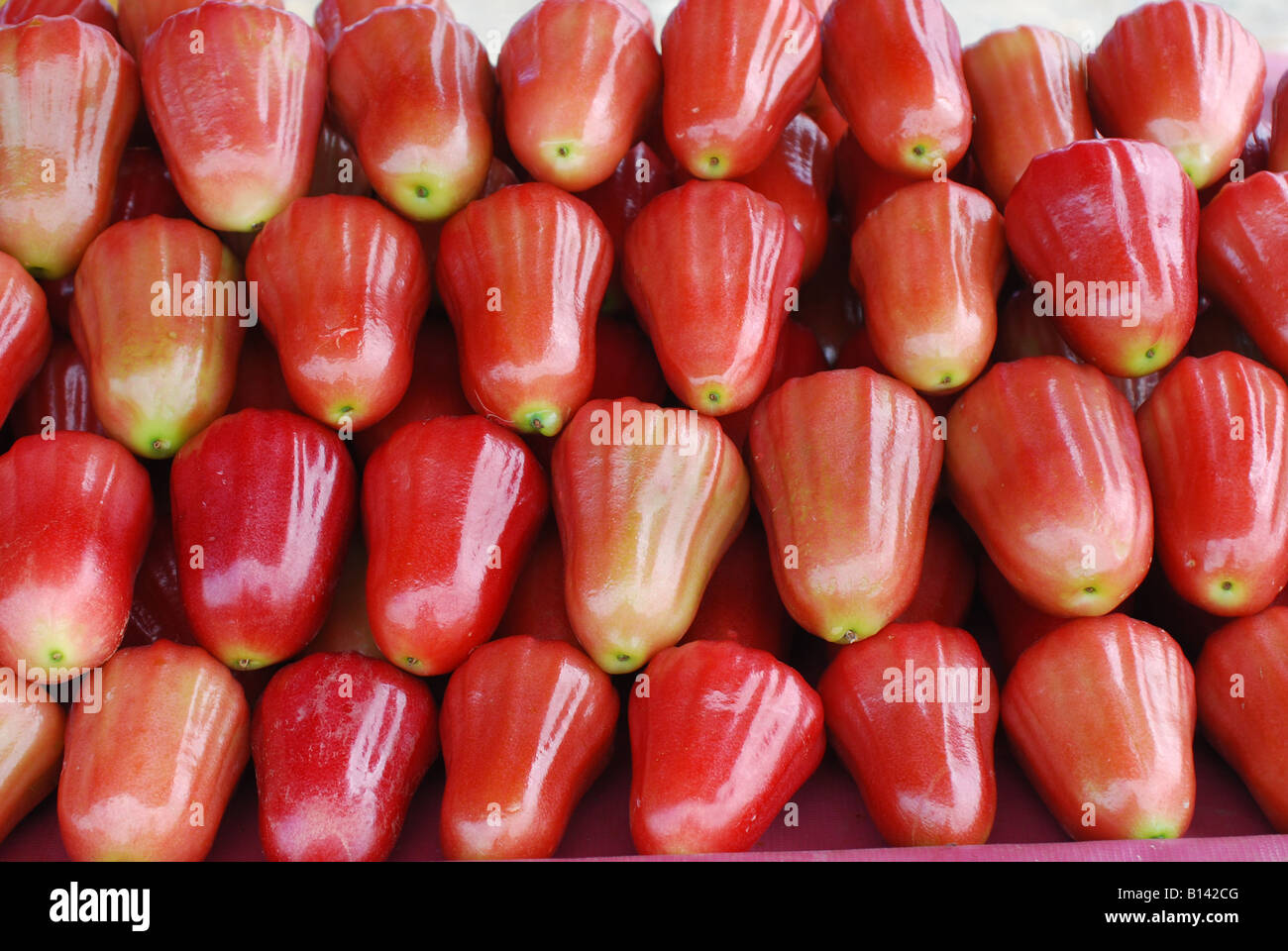 Rose apple at market Stock Photo - Alamy