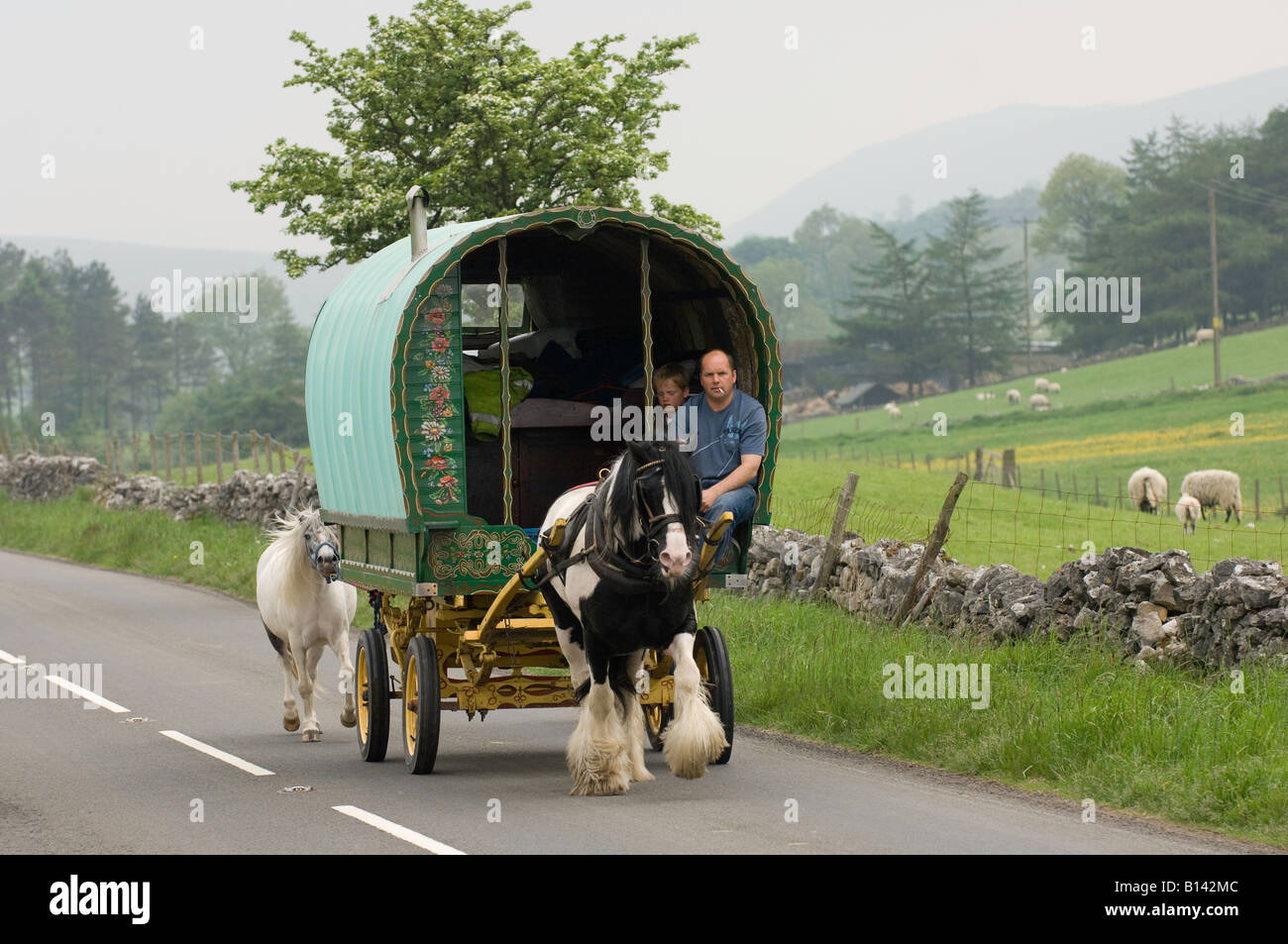 Horse drawn caravan on the road heading to Appleby horse fair Cumbria ...