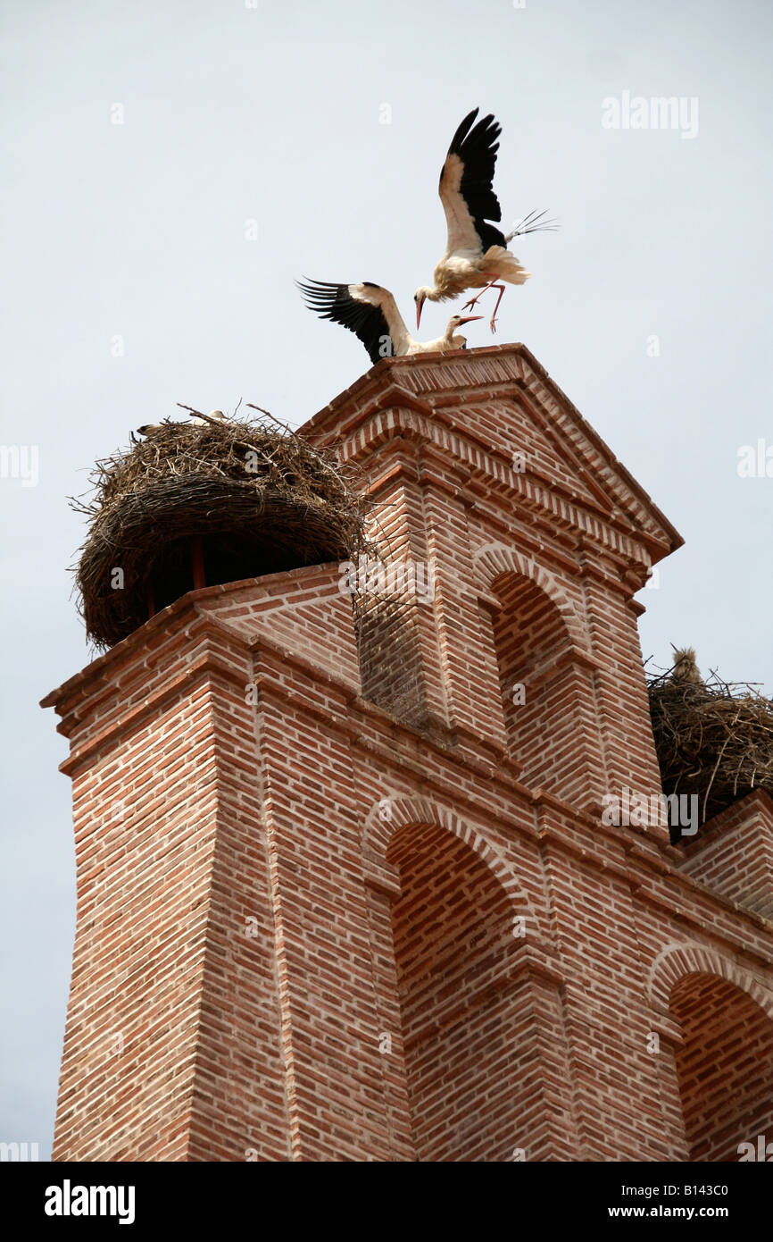 Storks Nesting in Alcala, Spain Stock Photo - Alamy