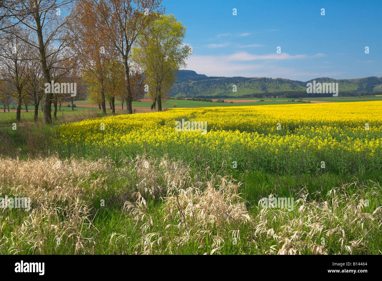 Spring landscape Poland Stock Photo - Alamy