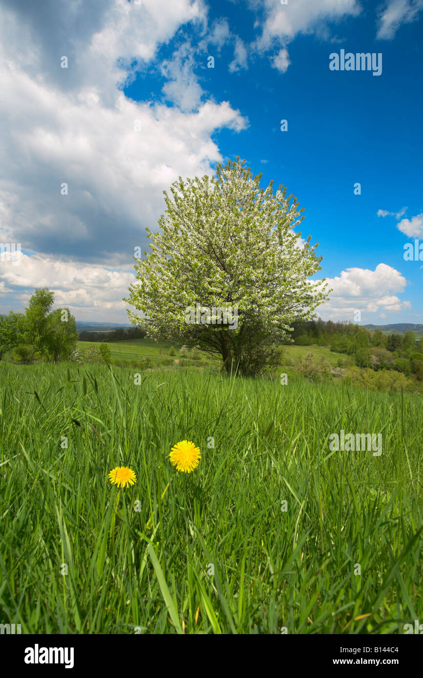 Spring landscape Poland Stock Photo - Alamy