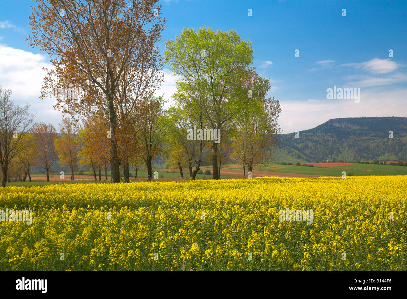 Spring landscape Poland Stock Photo - Alamy