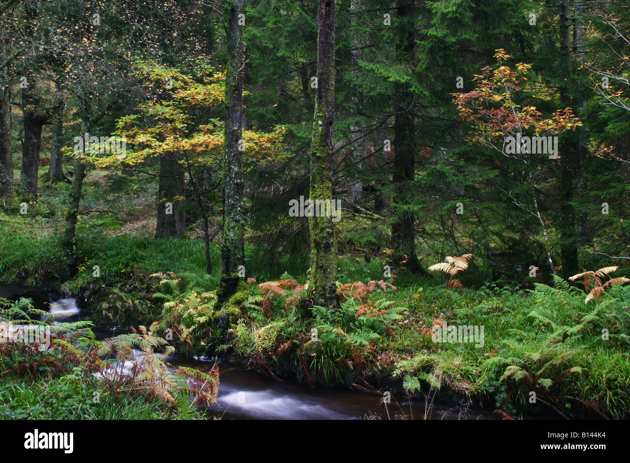 Seasonal stream uk hi-res stock photography and images - Alamy