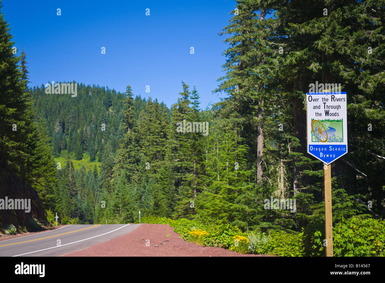 Willamette National Forest, Highway 126, Oregon Scenic Byway, USA Stock ...