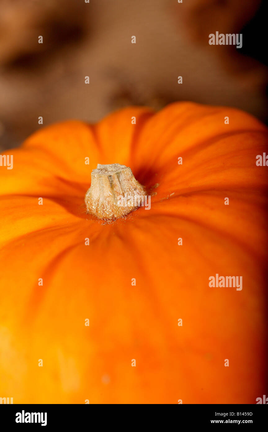 Close up pumpkin hi-res stock photography and images - Alamy