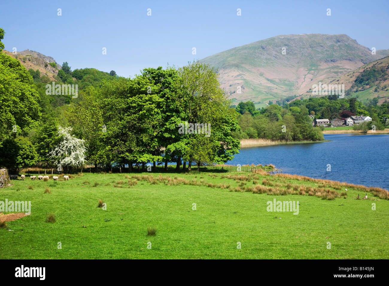 Lake Grasmere In May The Early Spring Colours Around The Lakes ...