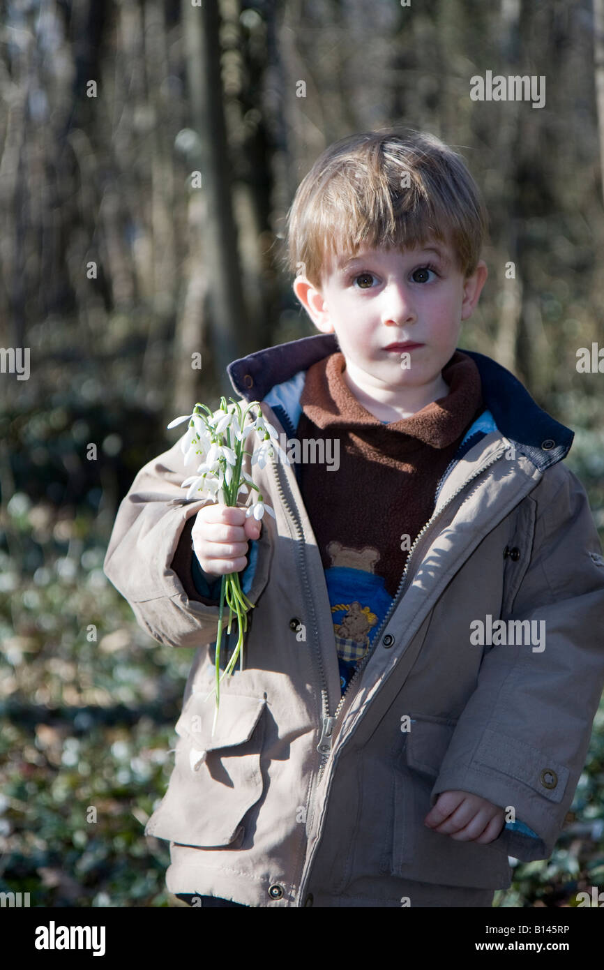 little boy holding flowers Stock Photo - Alamy