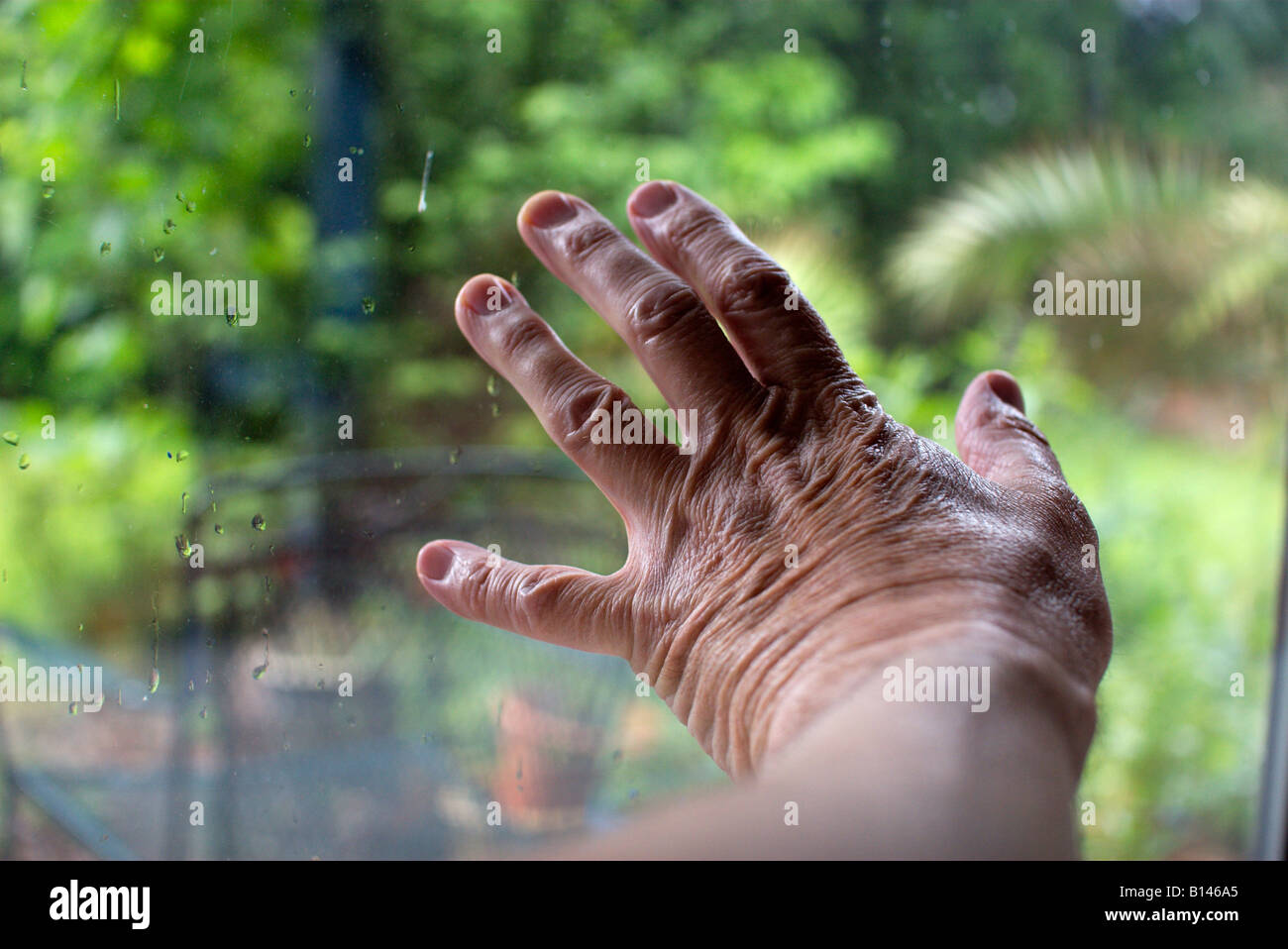 Yearn window hi-res stock photography and images - Alamy