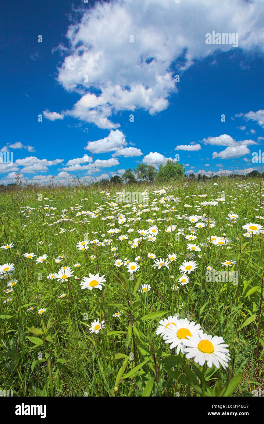 Spring landscape Poland Stock Photo - Alamy