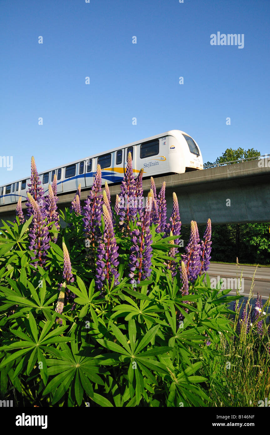 Skytrain rapid transit system, Vancouver and Lower Mainland of British ...
