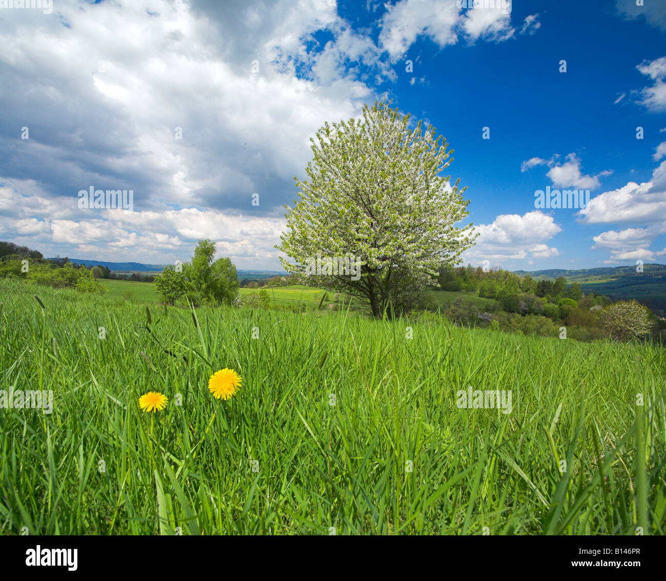 Spring landscape Poland Stock Photo - Alamy
