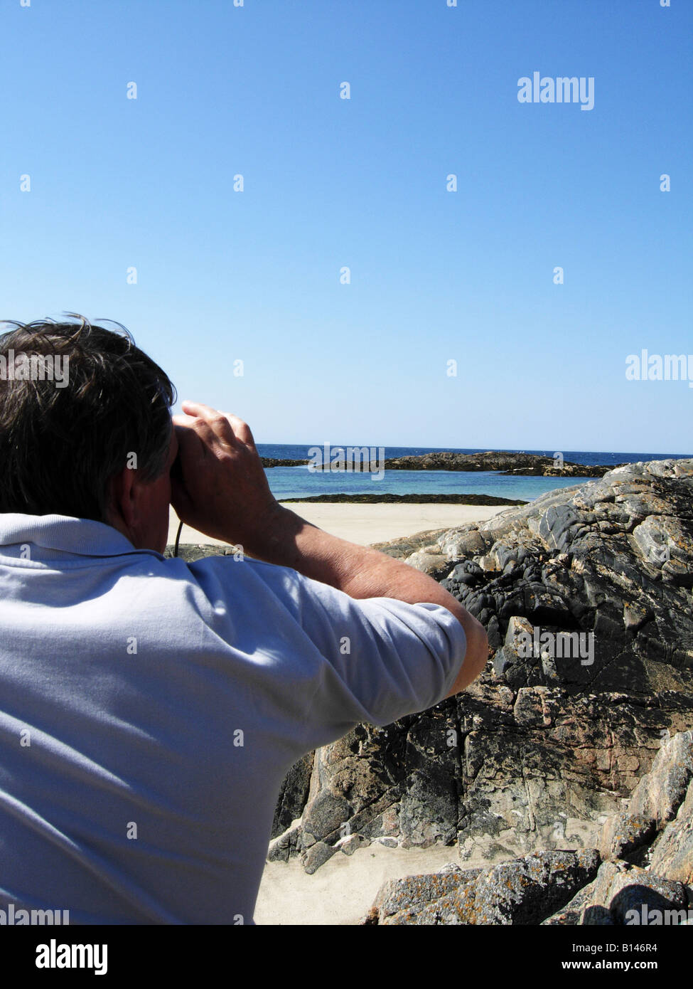 Whale, shark and dolphin watching Coll Scotland Stock Photo - Alamy