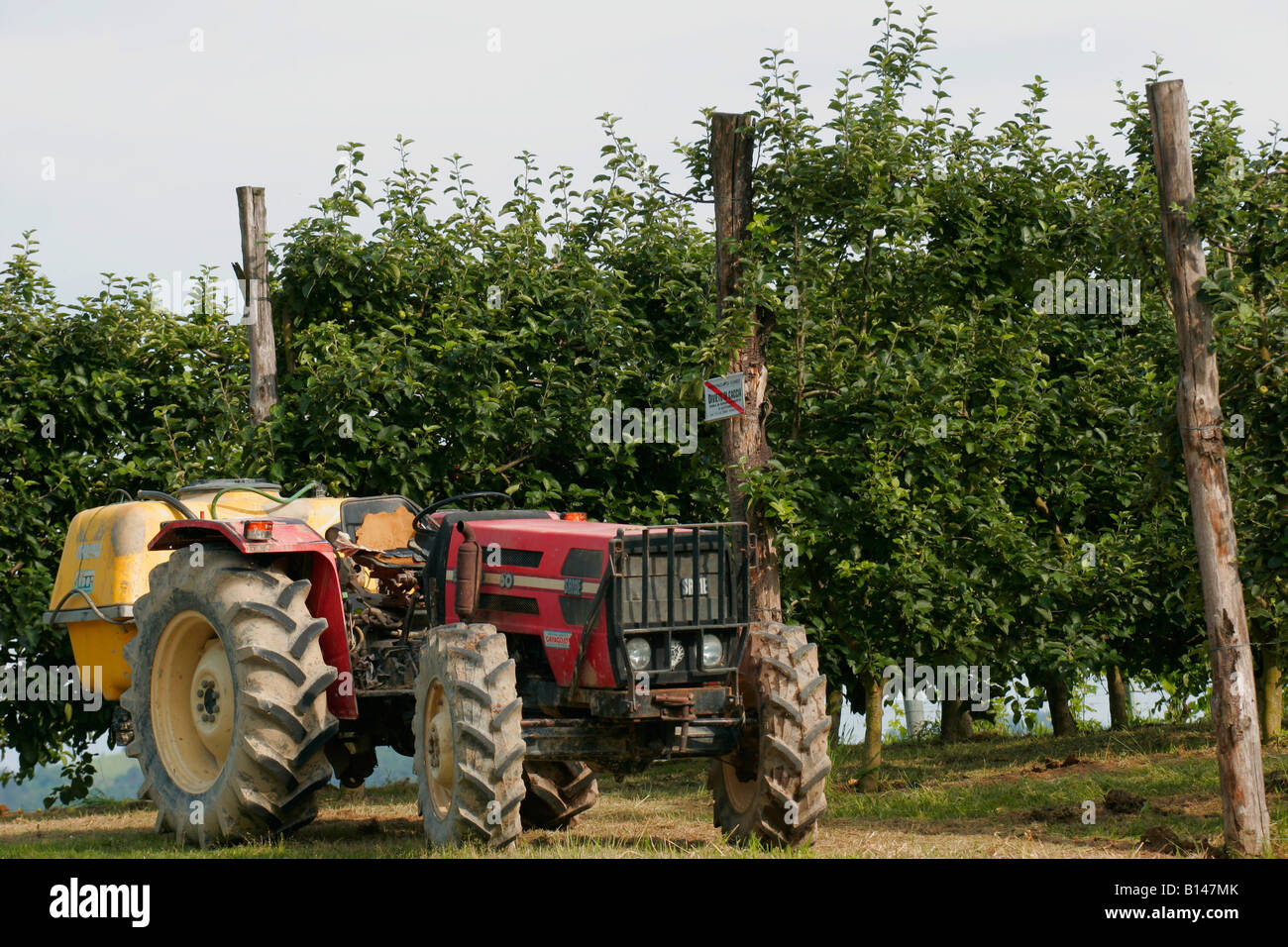 Tractor and vineyards rows Stock Photo - Alamy