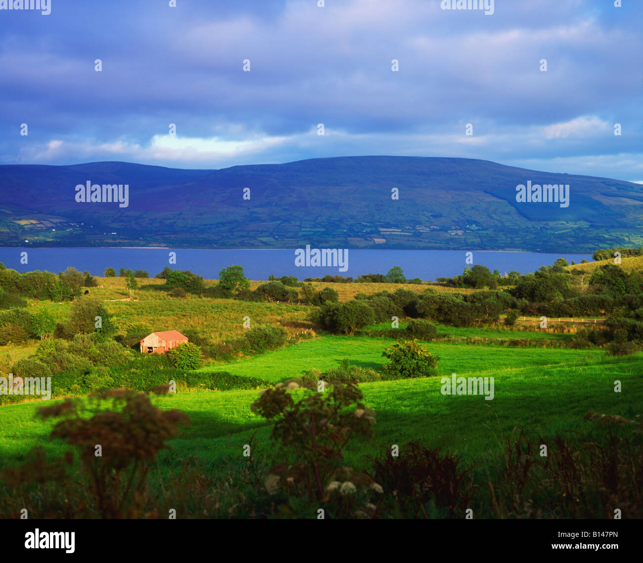 View of County Leitrim and Lough Allen from County Roscommon, Ireland ...
