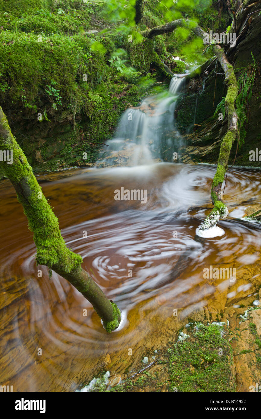 Whirlpools and waterfalls in an Exmoor stream, Exmoor National Park ...
